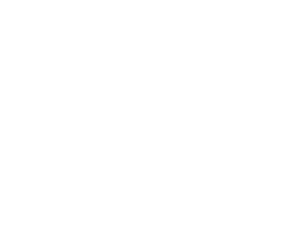 Acorn Global Advance